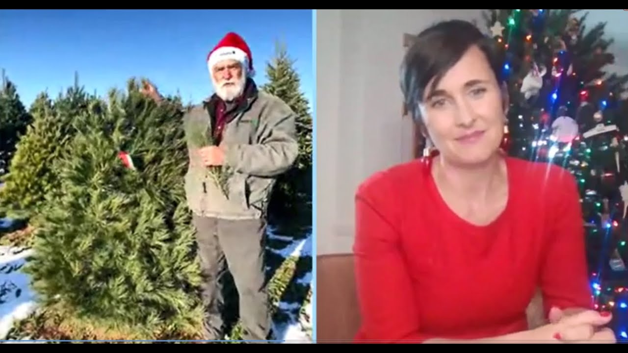 Talking Trees Live: How to Pick the Perfect Christmas Tree & Proper ...