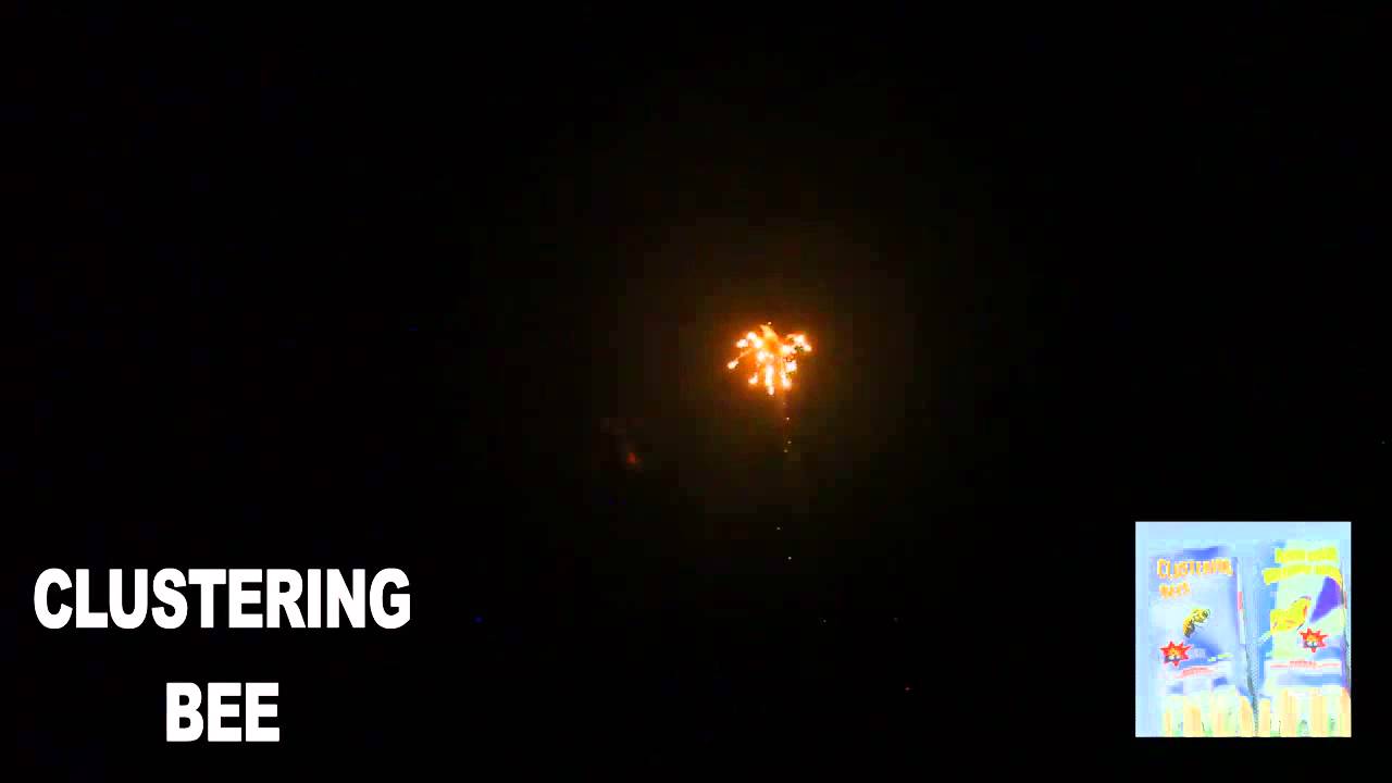 Clustering Bee - Boom Town Fireworks - YouTube