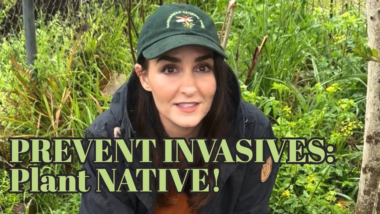 PREVENT INVASIVES: Plant NATIVE! 🌿 - YouTube