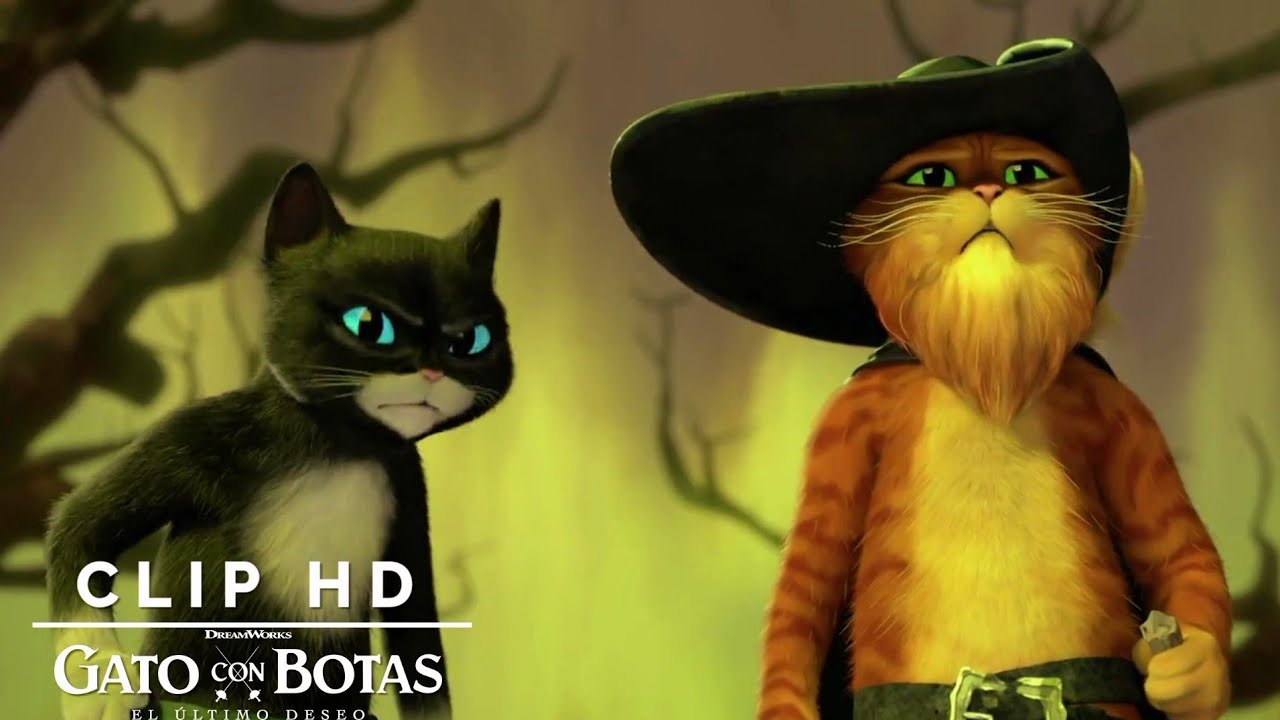 El camino de Kitty | El Gato con Botas: El último deseo | Clip 4K - YouTube