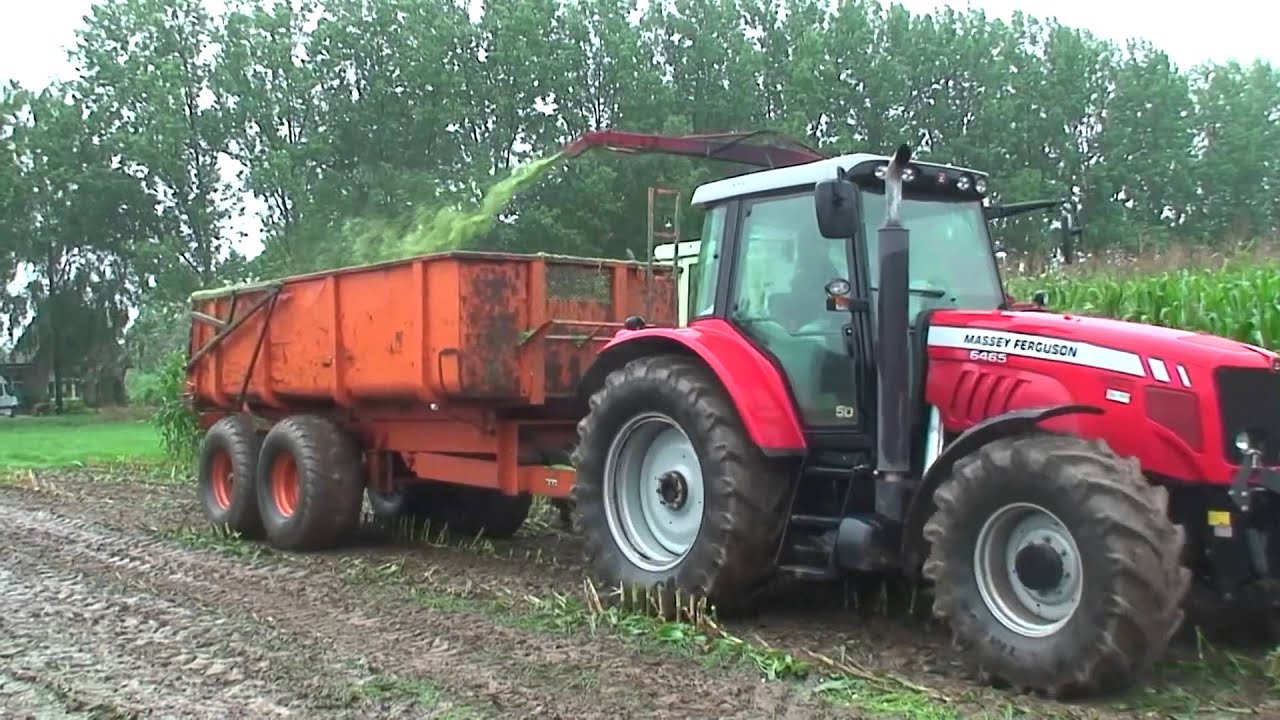 Drogestofgehalte maïs nog erg laag - YouTube