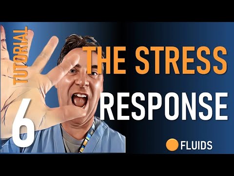 The Perioperative Stress Response