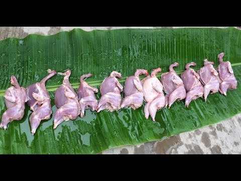 Kaadai(quail) fry and gravy using 20 quails in my village - YouTube