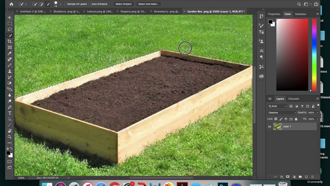"Creating a Garden" Photoshop Demo - YouTube
