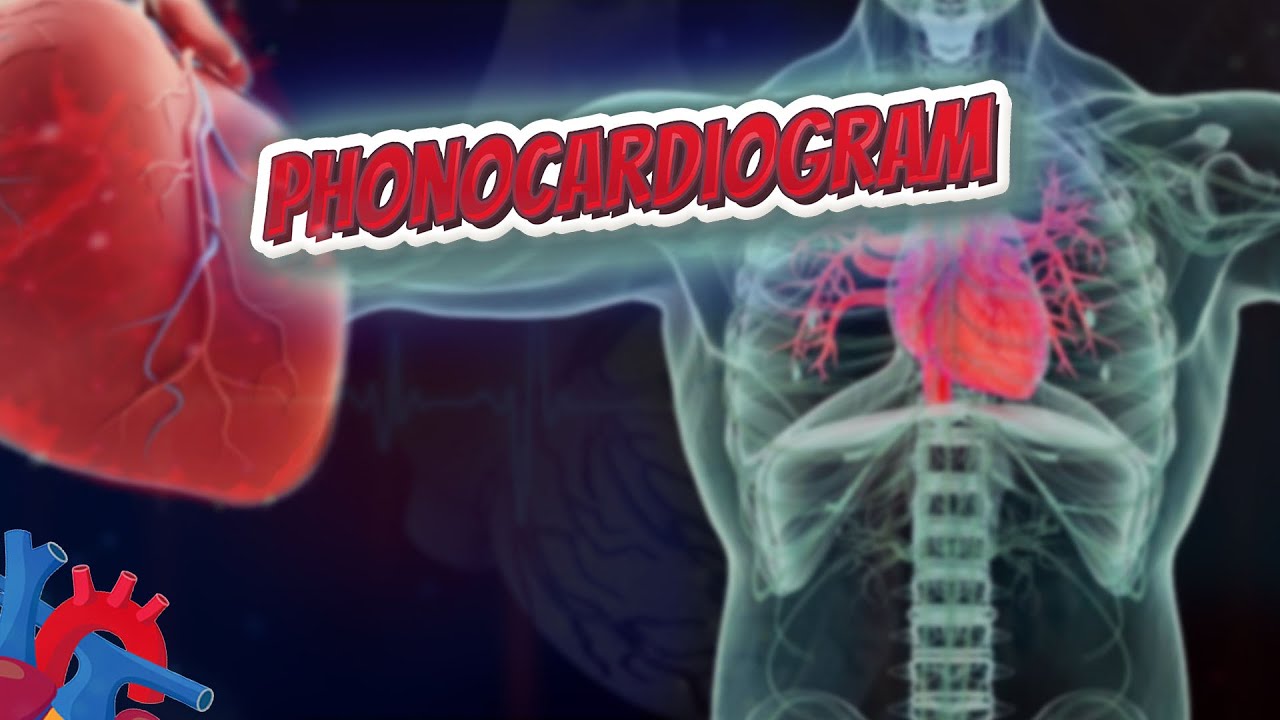 Phonocardiogram - Human Heart and Cardiology ️ ️ ️🔊 - YouTube