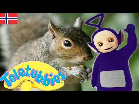 Teletubbiene på norsk - hele episoden kompilering - 1 time #33 | Tegneserier for barn