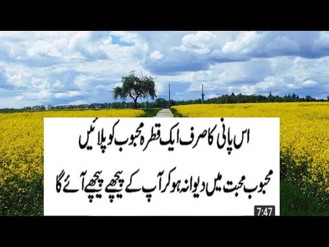 tawez muhbat pelany ka,bs ak tawez kafe hy,