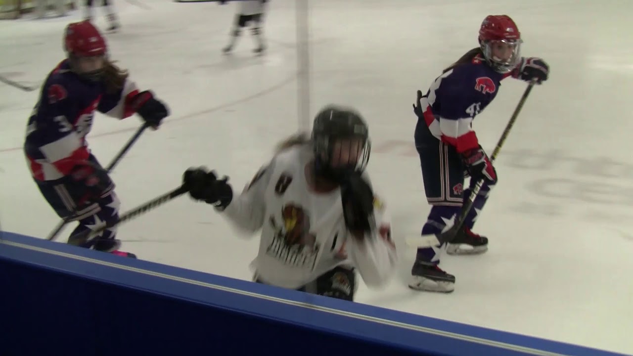 Buffalo Bisons vs Buffalo Regals 14u Tier 1 NYS Playoffs 6-0 Win - YouTube