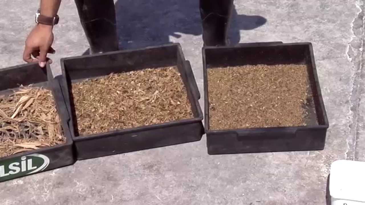 Silage sampling during Santam Silage competition - YouTube