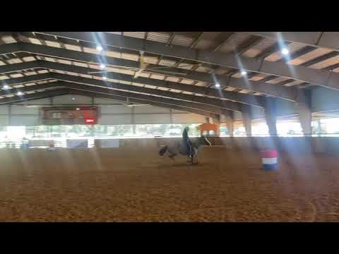 Famous Disco Bug - YouTube