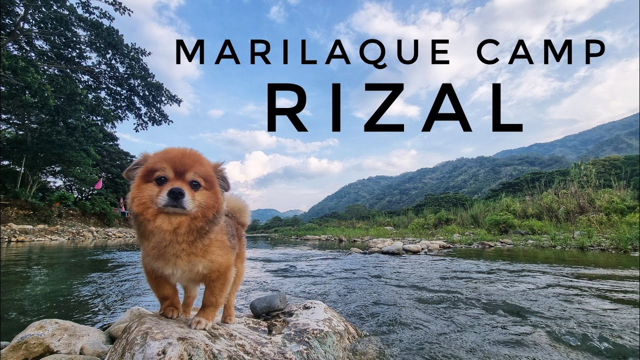 Marilaque camp | Riverside Camping | Blackdog Tarp | suzuki spresso car ...