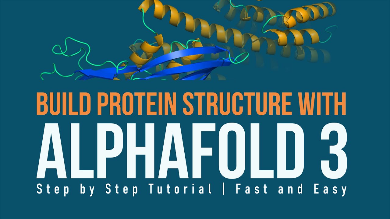 Quick Tutorial | Build a Protein Model Using AlphaFold 3 - YouTube