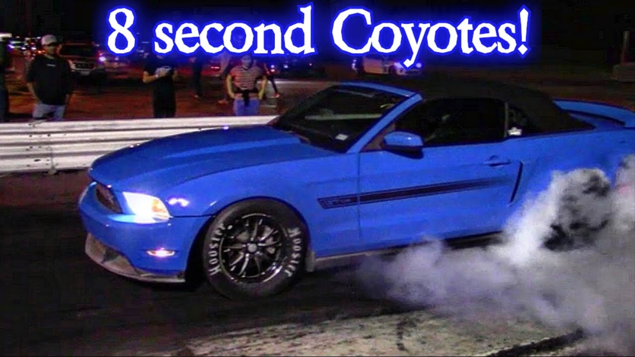 Fast Coyote Mustangs at EMP!! - YouTube