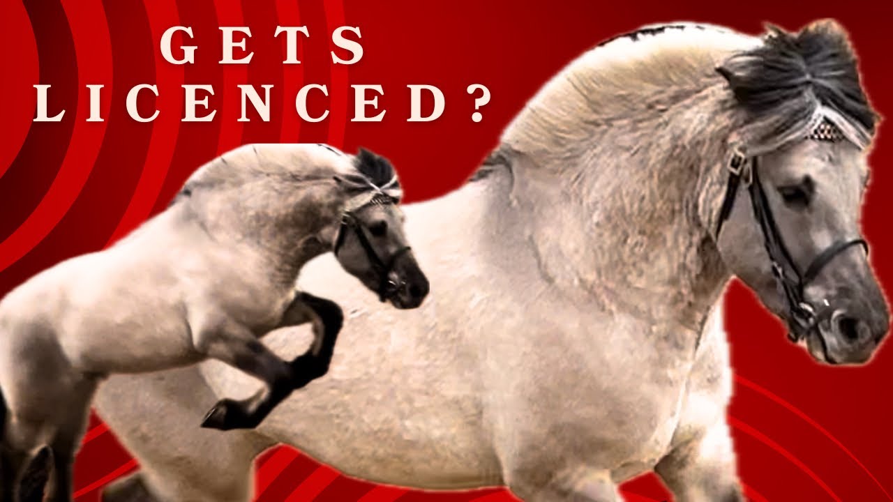 Everything You Need to Know About Stallion Licensing - YouTube