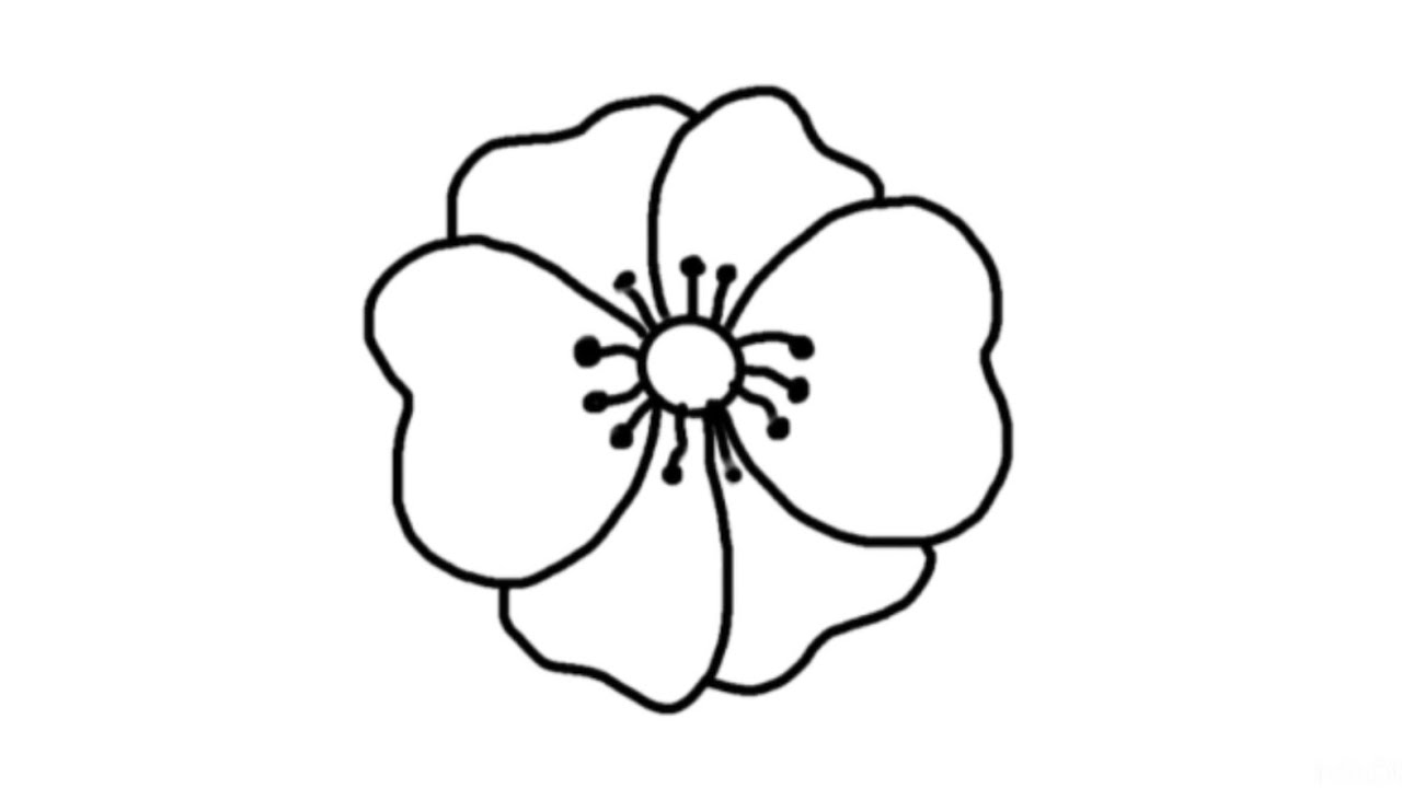 CARA MENGGAMBAR BUNGA POPI - HOW TO DRAW A POPPY - YouTube