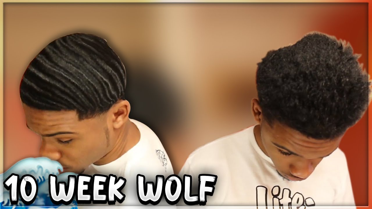 10 Week Wolf Update | 360 Waves 🌊 - YouTube
