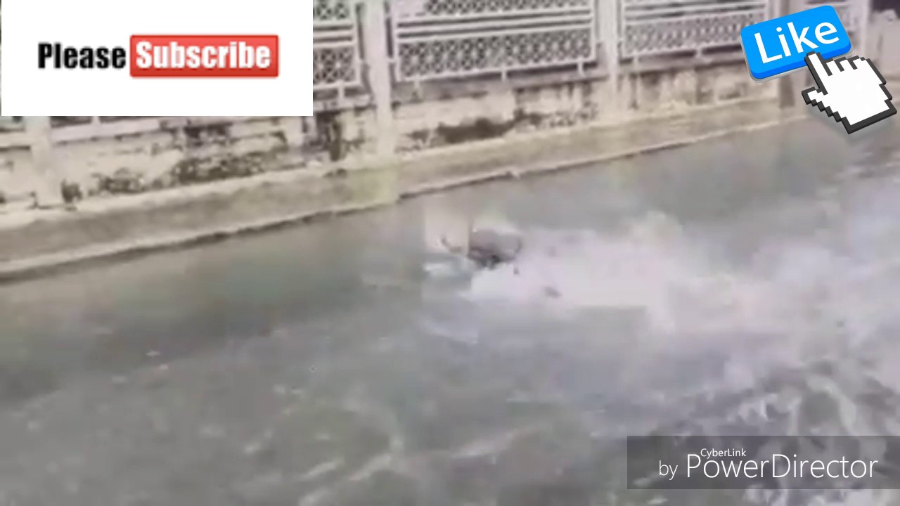 See How man is swimming on road MUST WATCH 😂😂👍👍 - YouTube