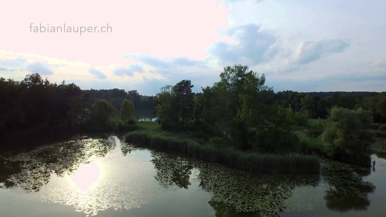 Nature in Zurich - YouTube
