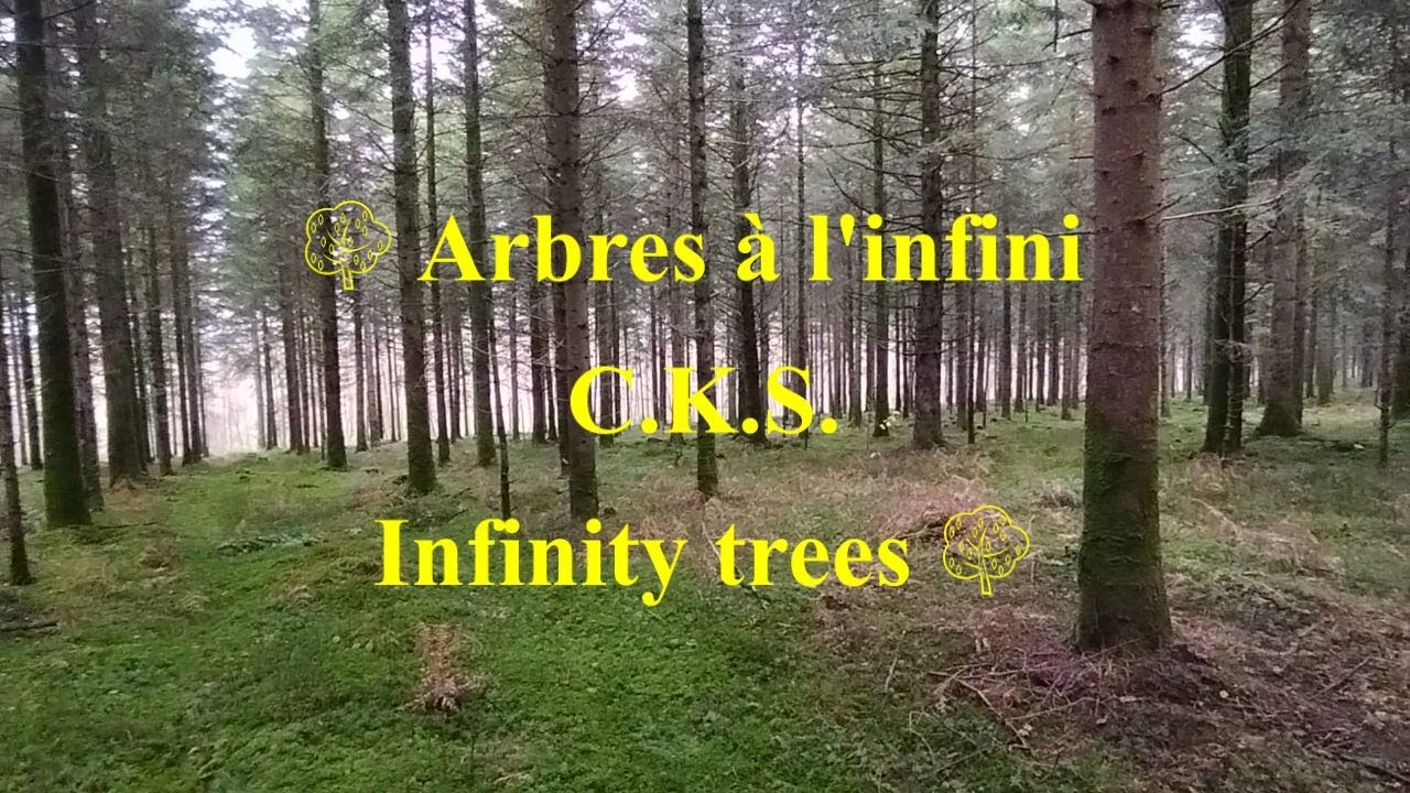 🌳♾️ Arbres à l'infini - Infinity trees - C.K.S. 🌳 #arbres #trees #nature #infinity #forêt # ...