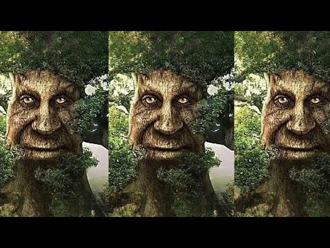 WISE MYSTICAL TREE MEME COMPILATION - YouTube