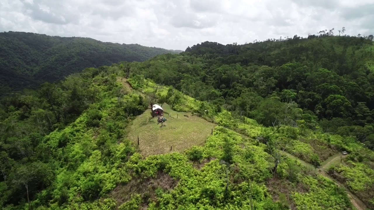 Up in the mountains of Belize - YouTube