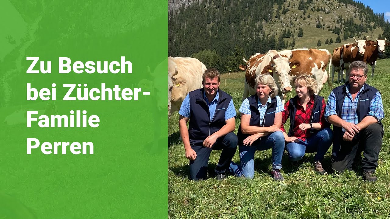 Auf der Alp bei der Familie Urs und Andrea Perren in St. Stephan - YouTube