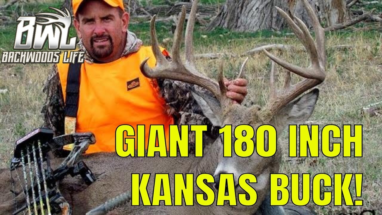 GIANT 180 INCH KANSAS BOW BUCK | HUGE KANSAS STUD! - YouTube