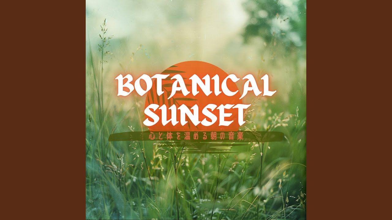 Pure White Sun - YouTube