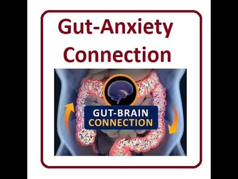 How Your Gut Bugs Affect Anxiety! - YouTube