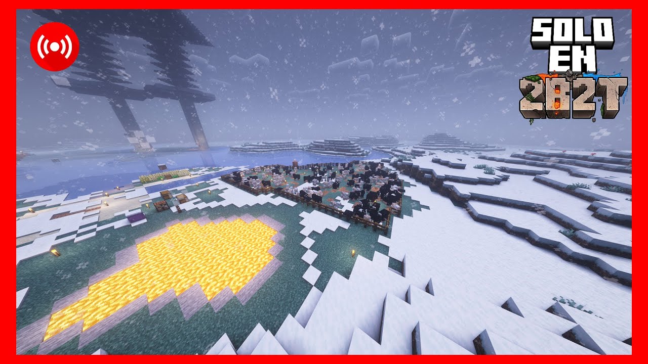 Solo en 2B2T Esquilando Ovejas - YouTube