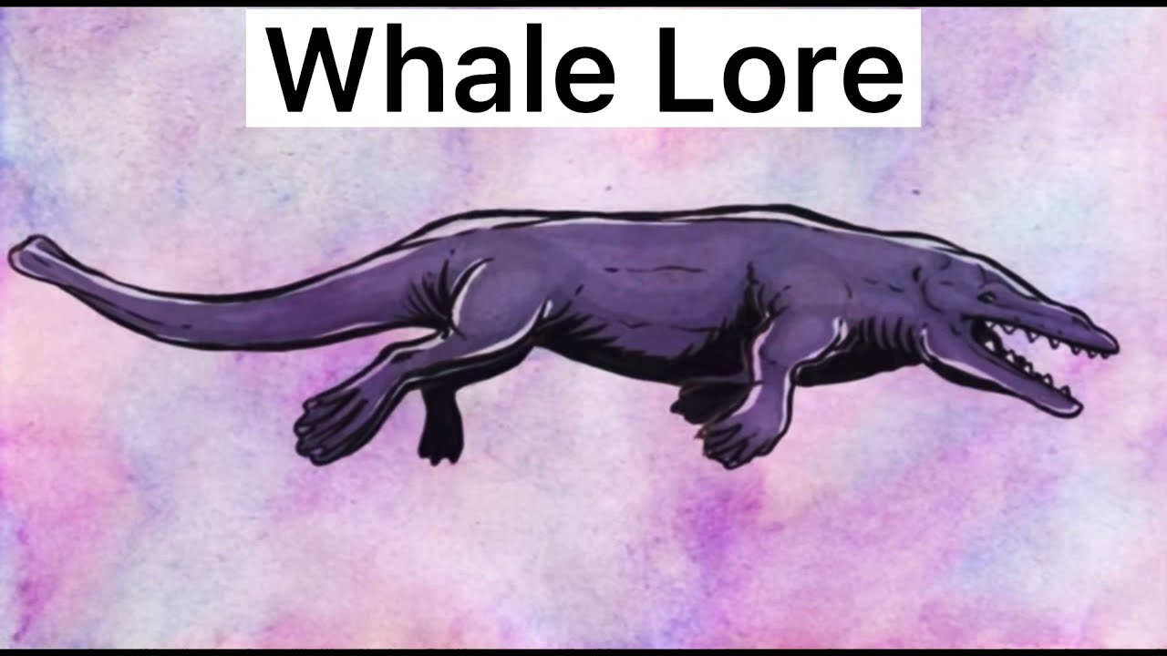 Whale Lore (can we hit 100 subs?) - YouTube