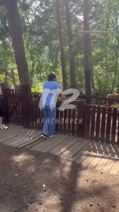 Одна обезьяна сбежала с клетки. Приставала к ламе. Потом встретила ...