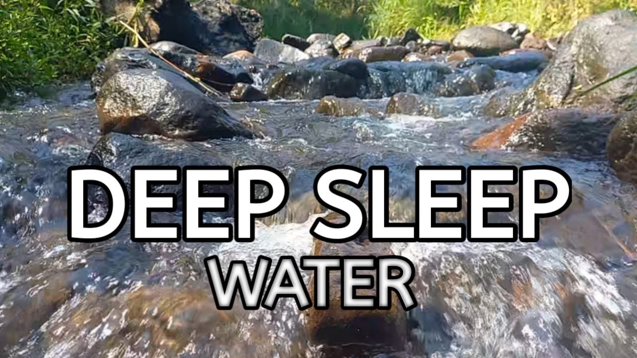 Healing River Stream and Bird Sounds for Study, Focus & Sleep | ASMR ...