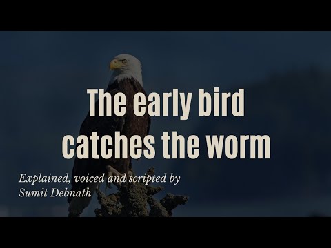 The Early Bird Catches The Worm Idea | The Early Bird Catches The Worm ...