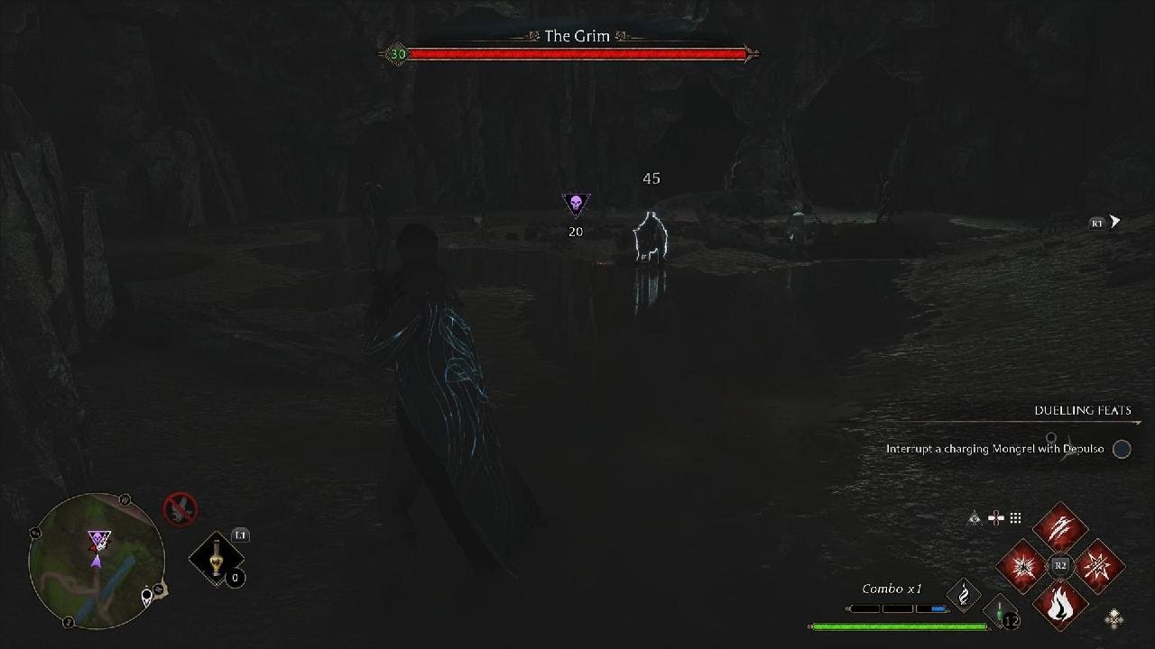 Hogwarts Legacy The Grim and The White Wolf Boss - YouTube