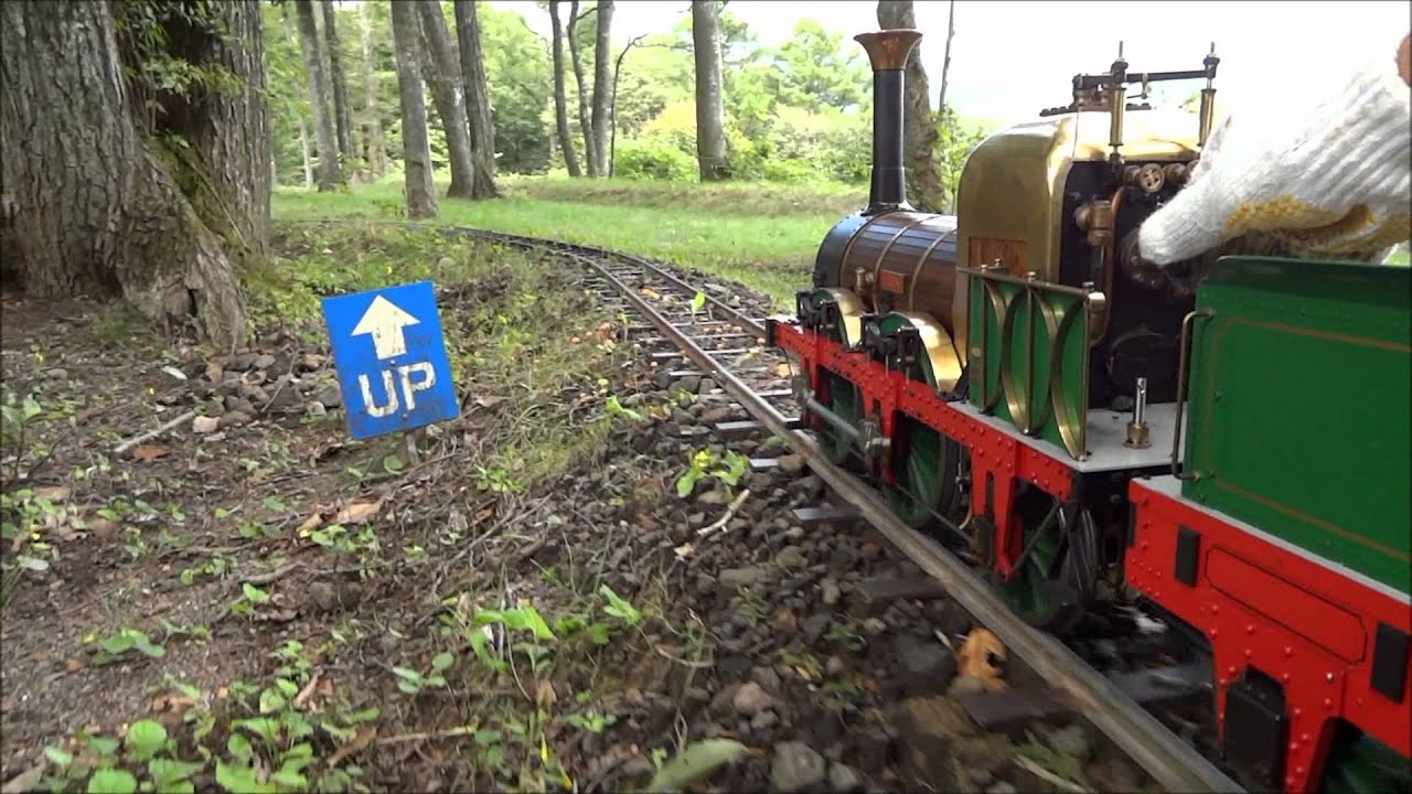 Lion Loco 5" Gauge 3 - YouTube