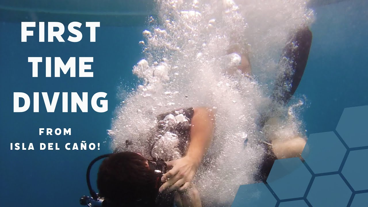 First Time Diving!!! - YouTube