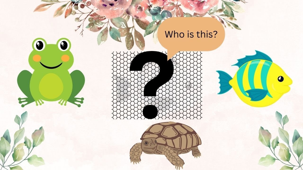 Picture Matching Puzzles for Kids | Pictures Matching | Play Fun ...