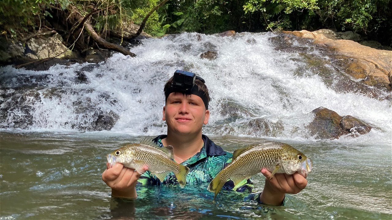 Jungle perch fishing | Incredible topwater action - YouTube