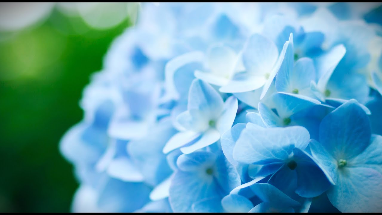 Cross Place Worship 20240609 - YouTube