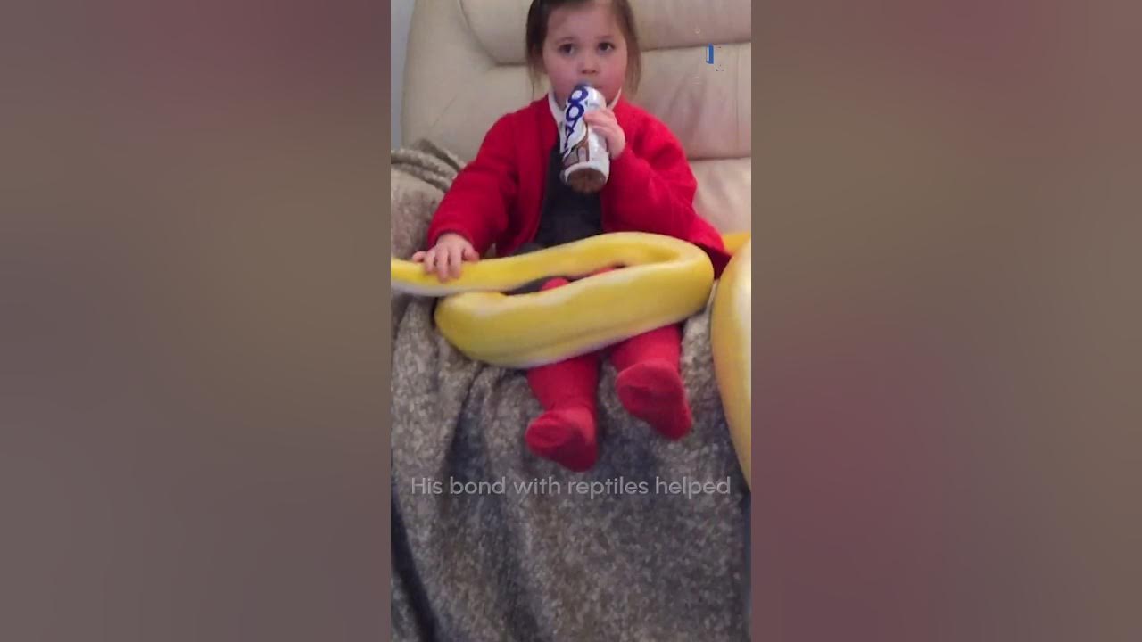 Girl Is Best Friends With Pythons - YouTube
