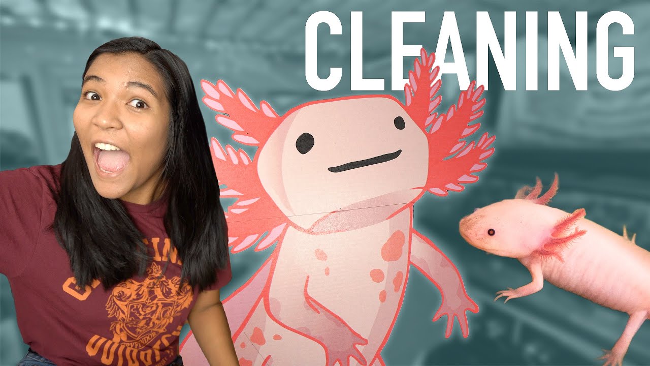 Cleaning my AXOLOTL Tank! - YouTube