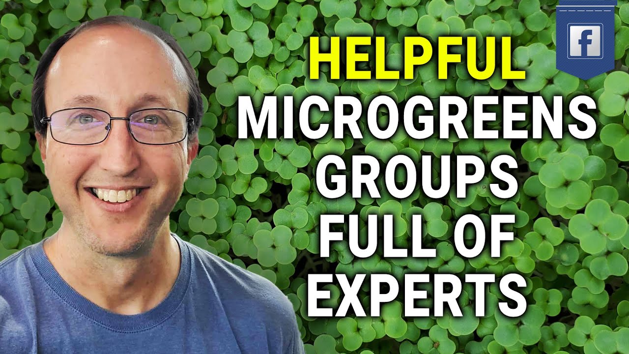 Introduction and Facebook Groups Full of Experts - YouTube