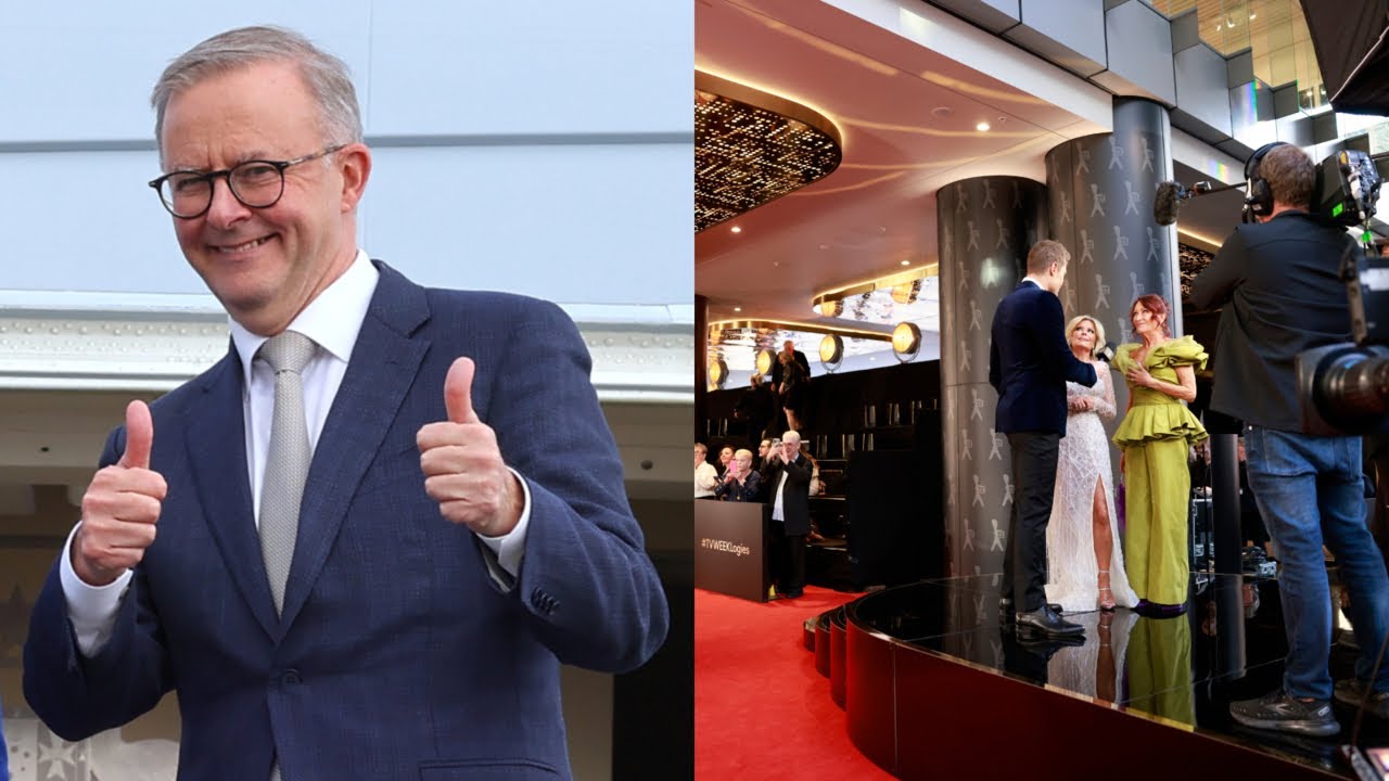 'Celebrities did not disappoint': Constitutional advice handed out at ...