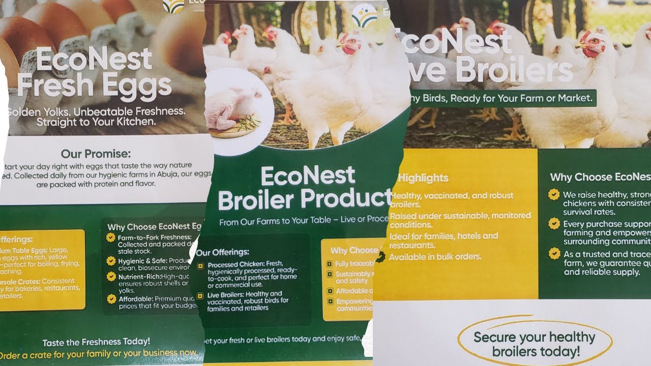 EcoNest Live Broiler Chicken, Processed Frozen Broiler Chicken and ...