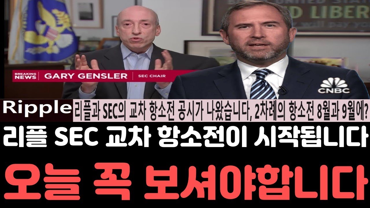 리플전망 리플 Xrp Sec 드디어 교차 항소전 공시나왔다 8월과 9월 총 2차례 오늘 영상은 꼭 보셔야합니다 리플전망 리플호재 리플급등 리플코인 리플소송