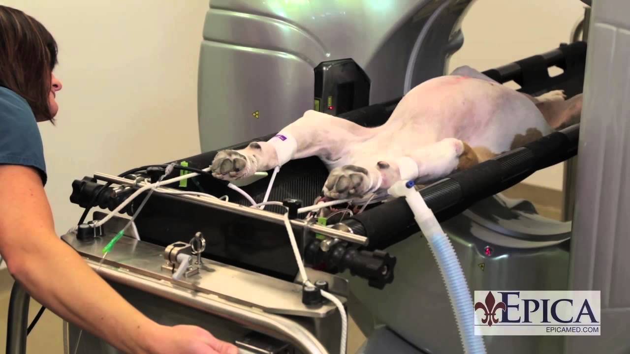 Epica Vimago - YouTube