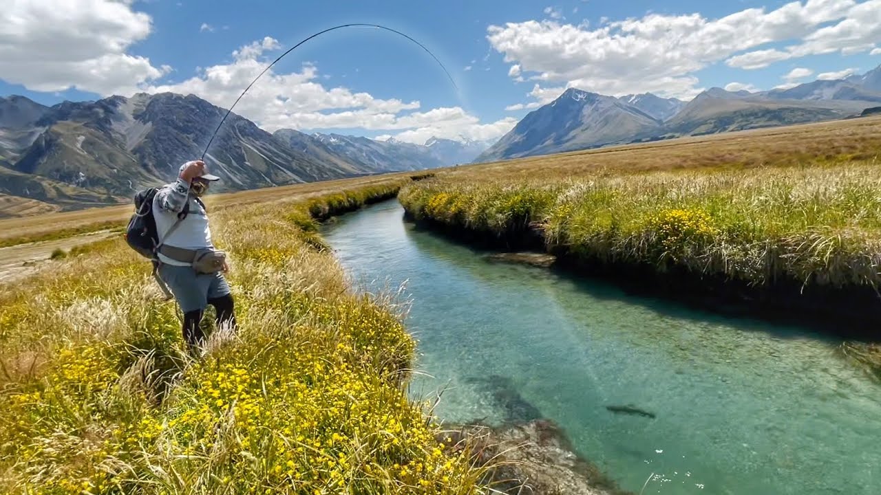 Fly Fishing Amazing High Country spring Creek. Part 1 - YouTube