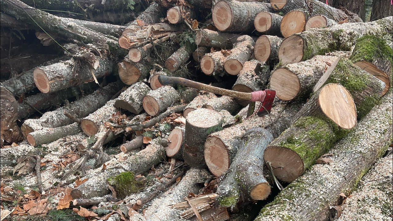 Fire wood logs for next year - YouTube