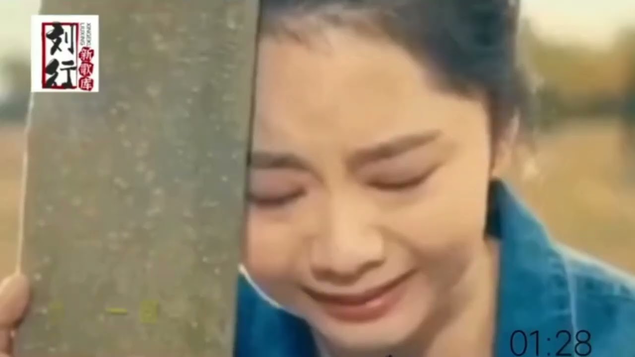 想你一回心痛一回 - 赵洋 - Xiang Ni Yi Hui Xin Tong Yi Hui - Zhao Yang - YouTube